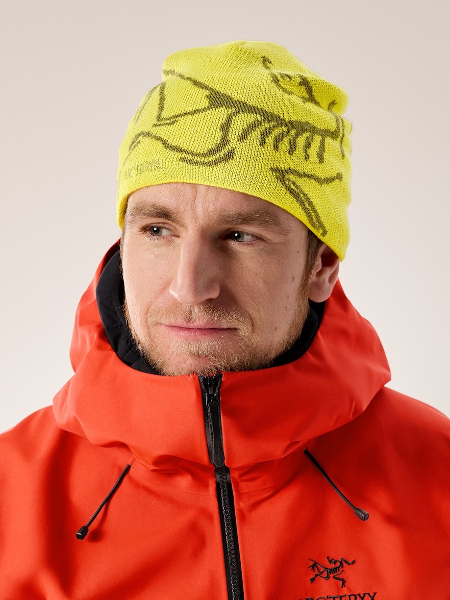 Arc'teryx Bird Head Toque Euphoria/Olive Moss - PlatouSport
