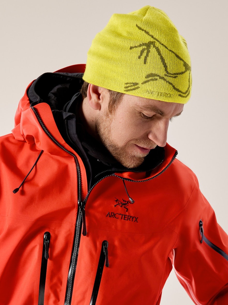 Arc'teryx Bird Head Toque Euphoria/Olive Moss - PlatouSport